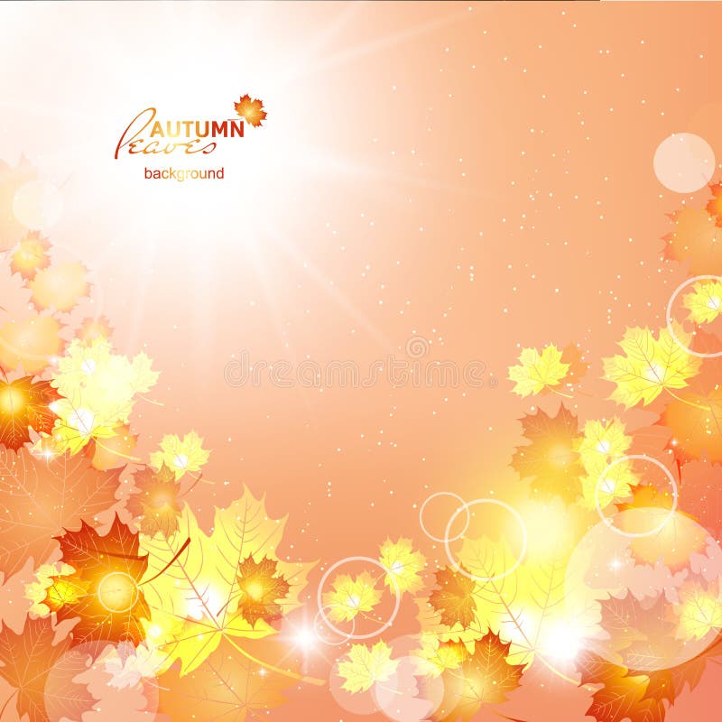 Natural Vector Illustration of Beautiful Autumn Background with Stock ...