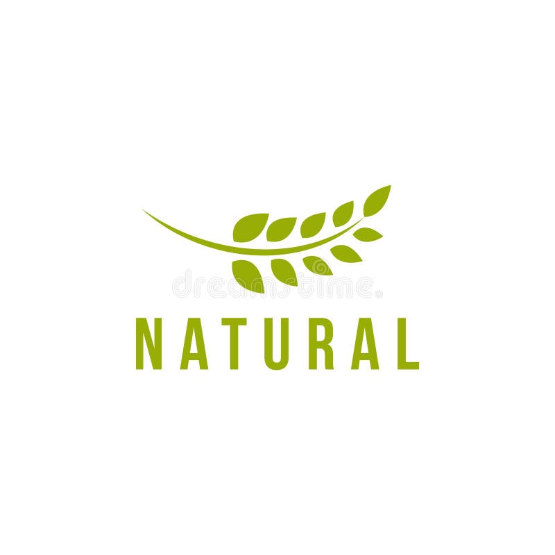 Natural Vector Template Design Illustration Stock Vector - Illustration ...