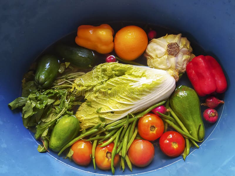 Natural Vegetables Inside the Basin with Water for Cleaning and ...