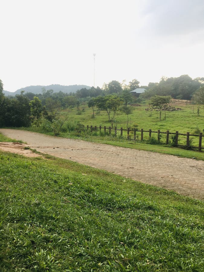 Natural vibes stock image. Image of vibes, graas, natural - 266905487