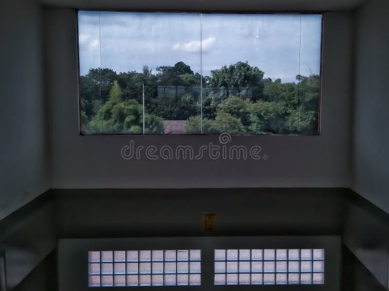 Natural View from Building Window Stock Photo - Image of leaf, pattern ...