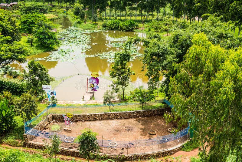 Natural View at Chiang Rai Province Stock Image - Image of forest ...