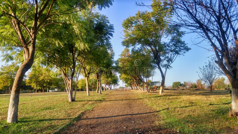 Natural View of Country Road with Autumnal Trees on Both Side Stock ...