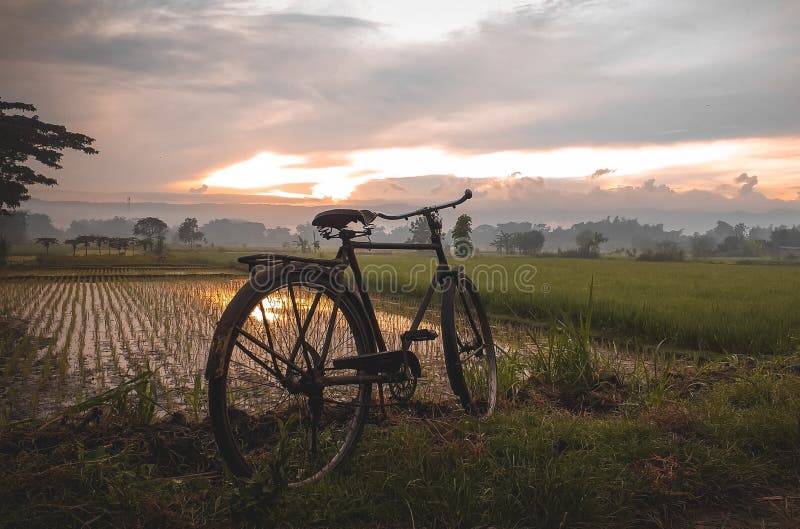 Natural view in morning stock image. Image of horizon - 222023035