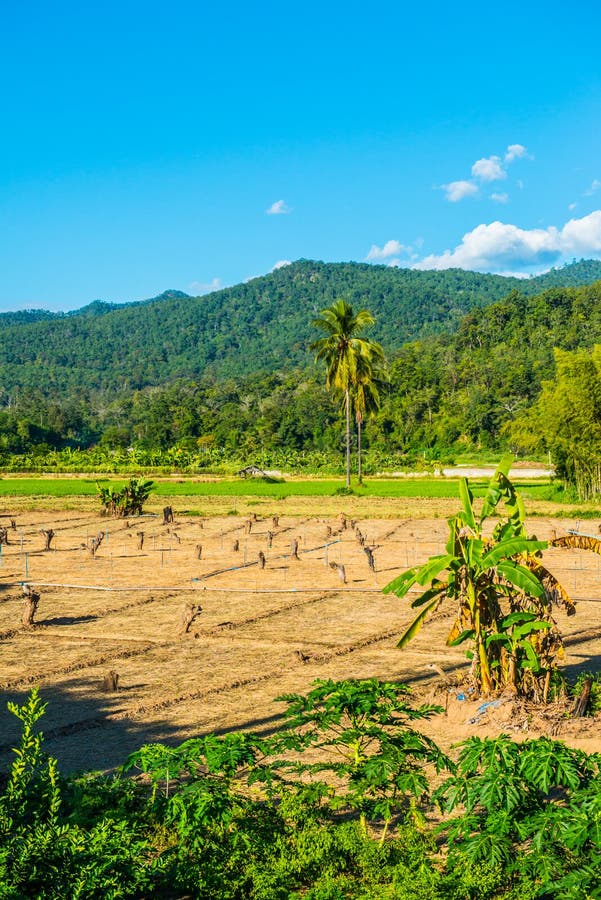 Natural view at Pai city stock image. Image of nature - 185974673