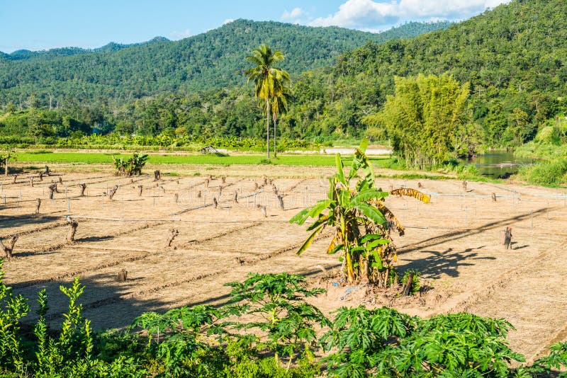 Natural view at Pai city stock image. Image of mountain - 185974709