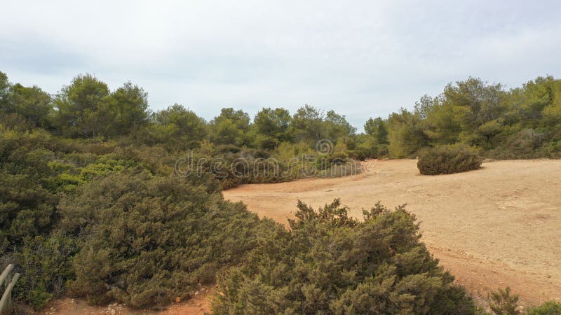 Natural View of a River Flooding into a Forest Stock Image - Image of ...