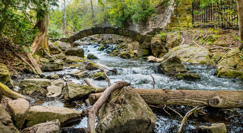 Natural View of a Small Arched Bridge Over a Creek in a Forest Stock ...