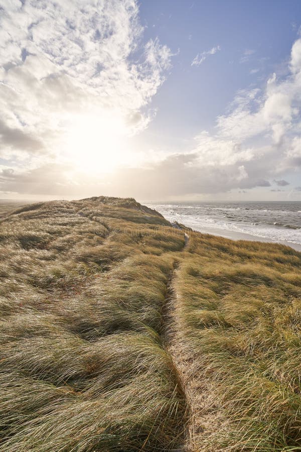 Natural View of a Trail and Grasses on a Cliff Overlooking the Coast of ...