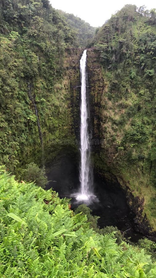 Natural View of a Waterfall Flowing Downstream in a Forest Stock Video ...