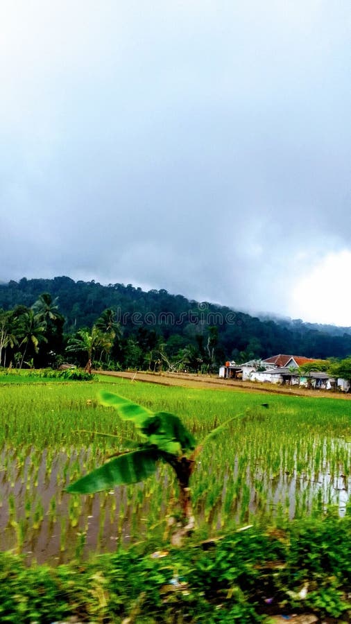 Natural views of mountains stock photo. Image of green - 357928816