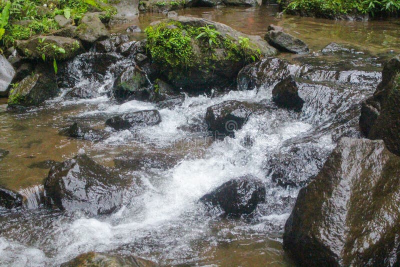 A Natural Views of Water Flows in the River. Stock Photo - Image of ...