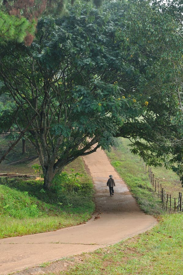 Natural-walkway Countryside, North of Thailand. Stock Photo - Image of ...