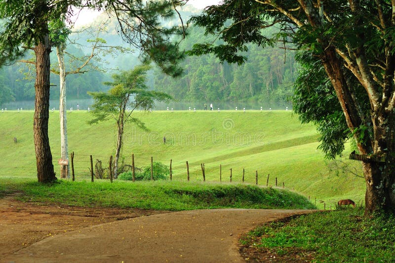 Natural-walkway Countryside, North of Thailand. Stock Photo - Image of ...