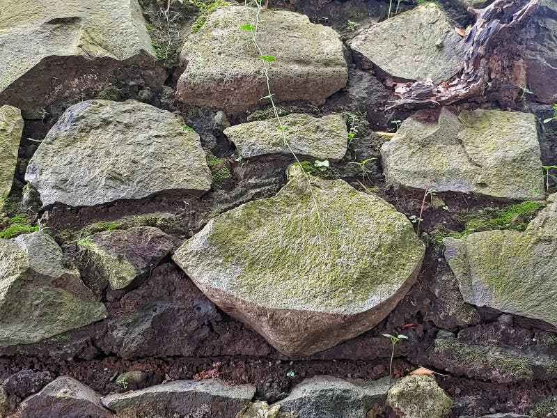 Natural Wall in Mossy River Rock Stock Image - Image of natural, river ...