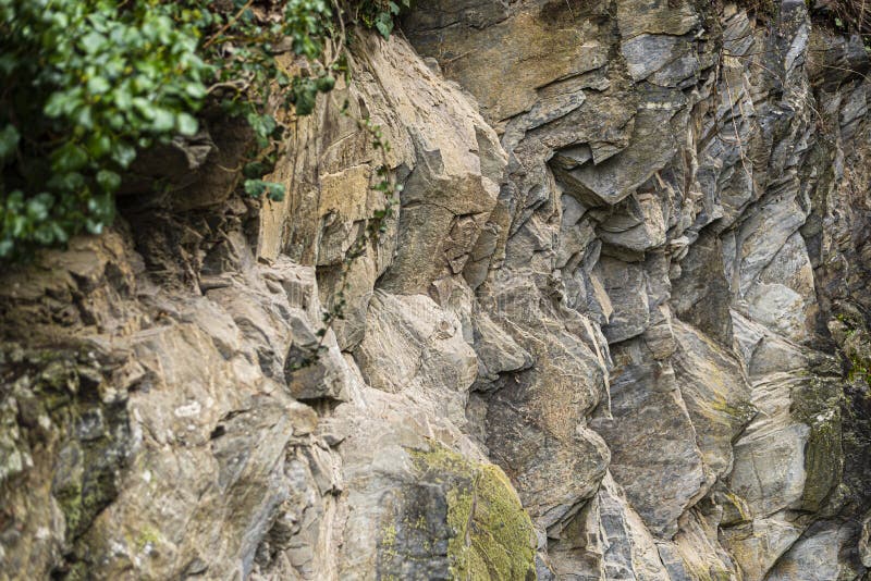 Natural Wall of a Ravine, Stone Block with Natural Plants Stock Photo ...