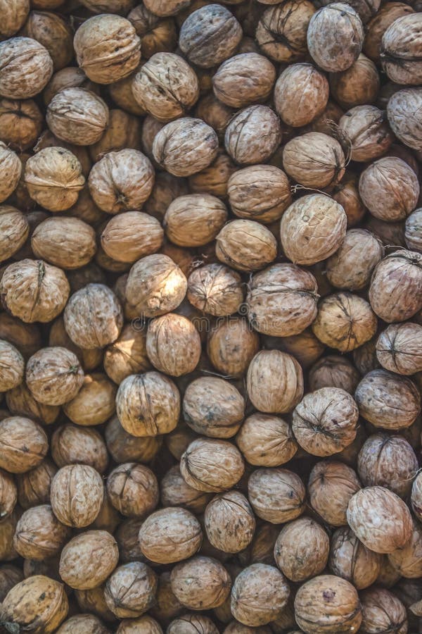 Natural Walnut Background Pattern Texture Abstract Walnuts Heap Pattern ...