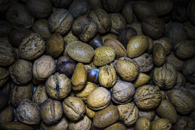 Walnuttexture Stock Photos - Free & Royalty-Free Stock Photos from ...