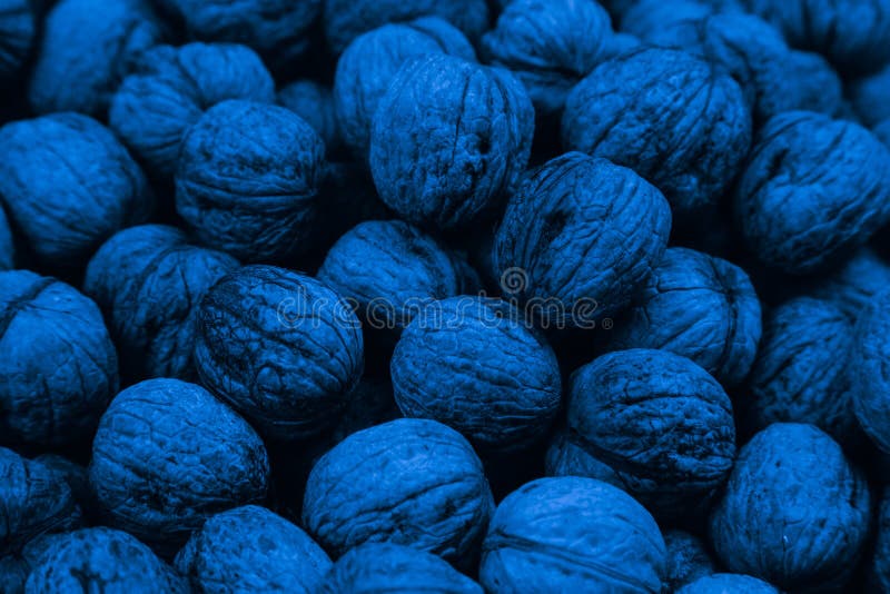 Natural Walnut Background Pattern Texture in Trendy Classic Blue Color ...
