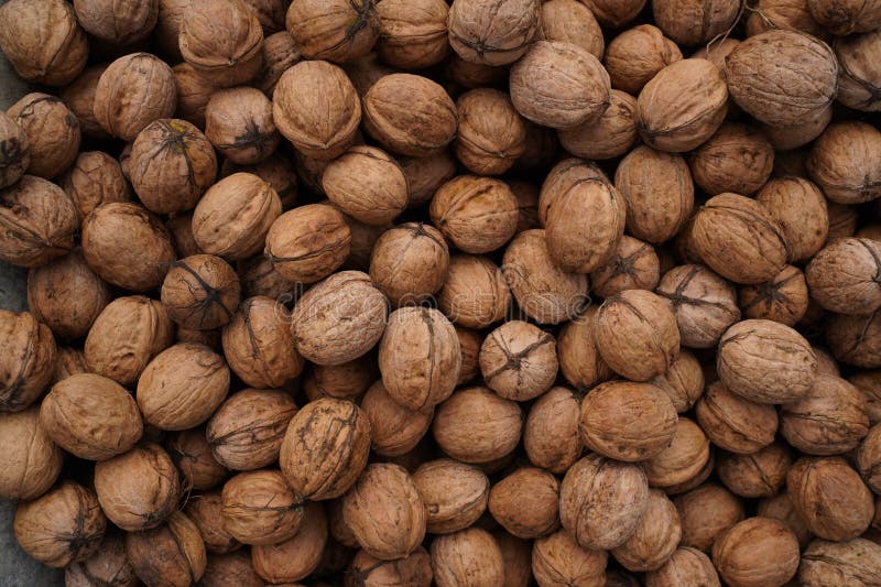 Natural Walnut Background Texture. Walnuts in Shell Pattern. Stock ...