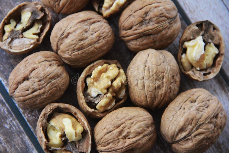 Natural Walnut Fruit in a Hard Brown Shell Stock Image - Image of ...