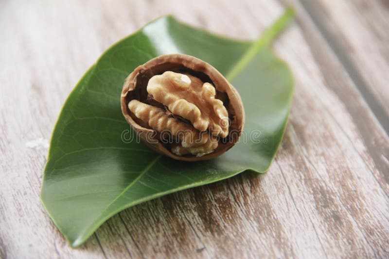 Natural Walnut in a Hard Brown Shell Stock Photo - Image of refreshment ...