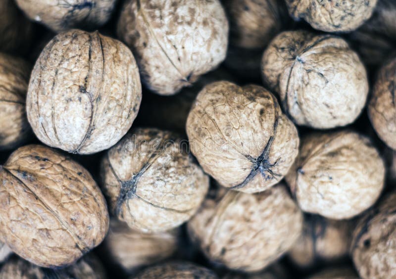 Natural Walnut in Shell Background Pattern Texture Stock Image - Image ...