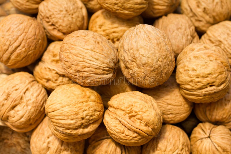 Natural Walnut Grain with Beautiful Wood Grain. Walnut Long Planks ...