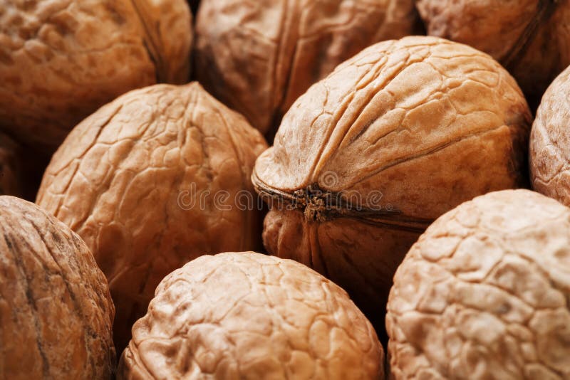 Natural Walnuts in Shell Background Dramatic Contrast Stock Image ...