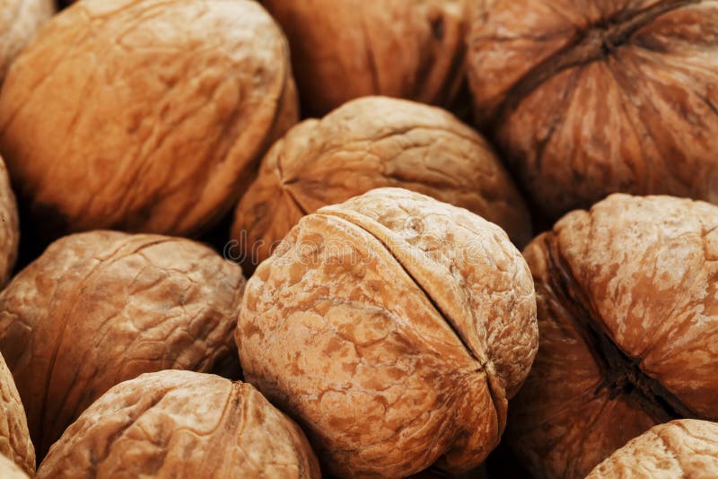 Natural Walnuts in Shell Background Dramatic Contrast Stock Image ...