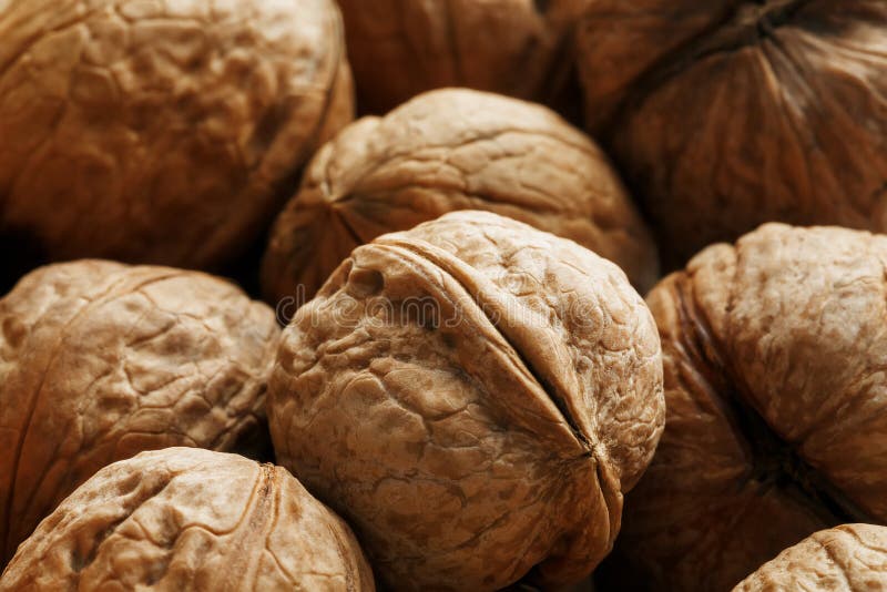 Natural Walnuts in Shell Background Dramatic Contrast Stock Image ... Natural Walnuts in Shell Background Dramatic Contrast Stock Image ...