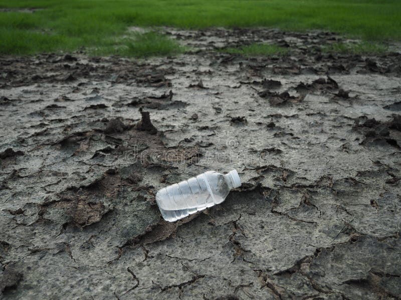 Natural Waste Recycling, Composting at Home Stock Photo - Image of ...