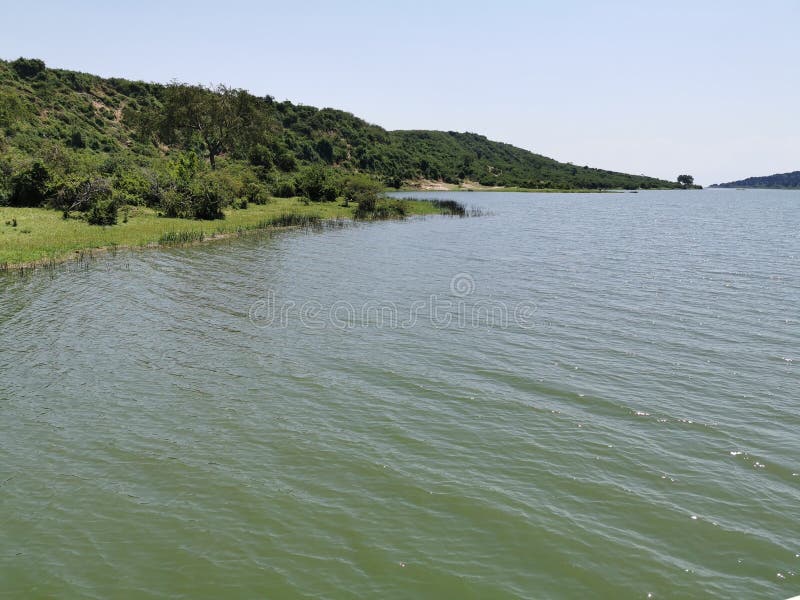 Natural water body stock photo. Image of wetland, beach - 212249068