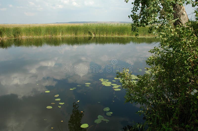 Natural water body stock photo. Image of blue, beautiful - 78902578