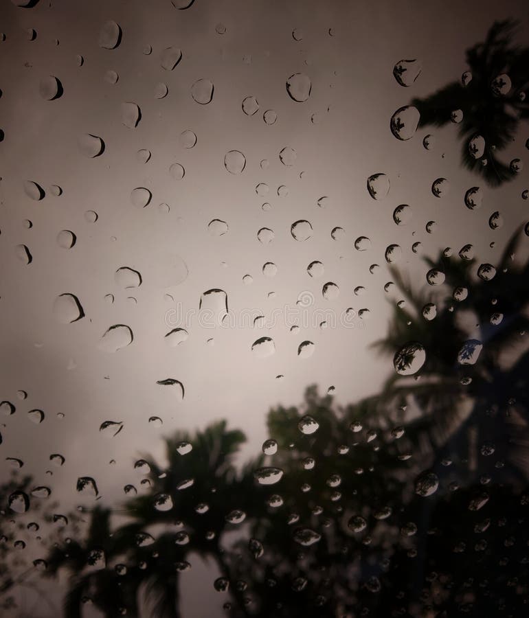 Natural Water Drops Realistic Image, Water Drops Wallpaper , Stock ...