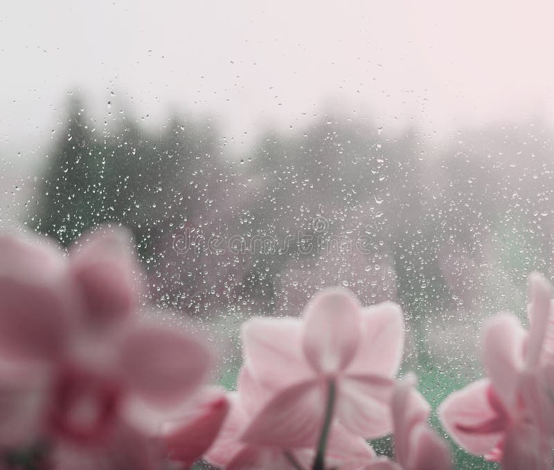 Natural Water Drop Background.CAR Window Glass with Condensation Stock ...