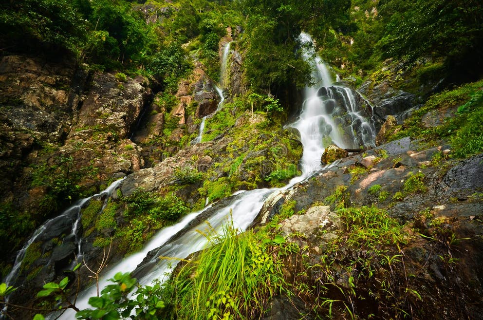 Natural water flow stock photo. Image of fresh, cascade - 43502556