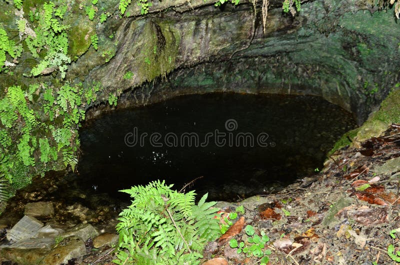 Natural Water Pound Amb India 1 Stock Photo - Image of stone, blue ...
