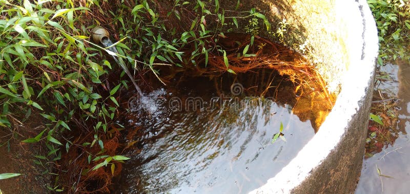 The Natural Water Resources(jala Ulpath) Stock Photo - Image of ...