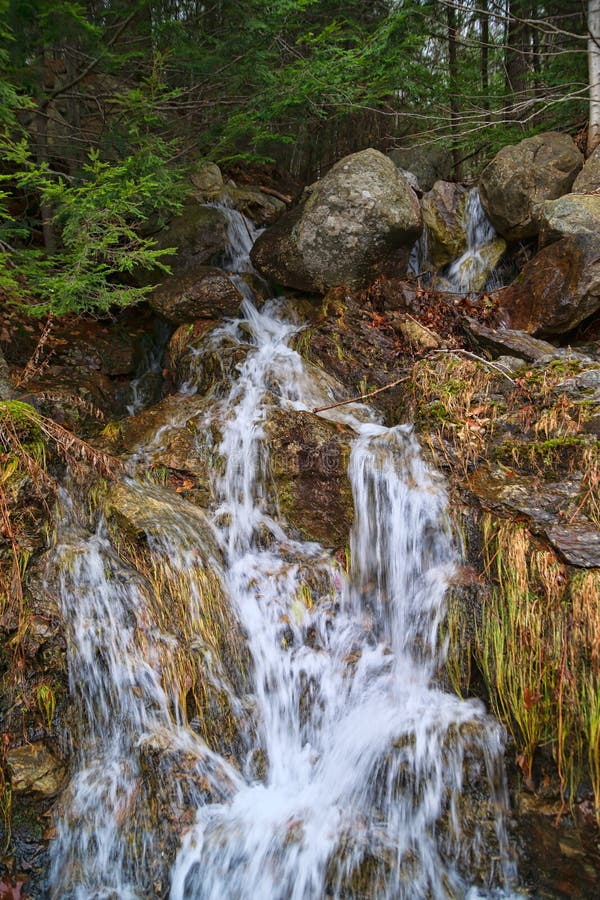 Water Runoff through Culvert Stock Photo - Image of culvert, tunnel ...