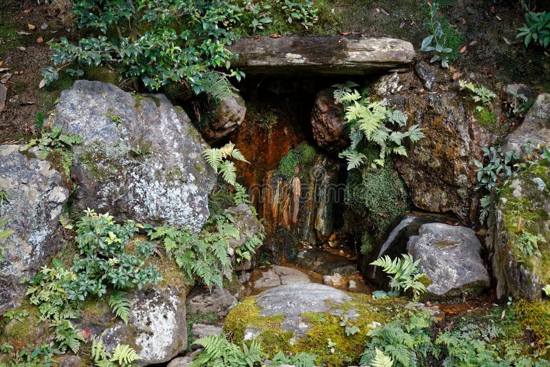 Natural Water Source in the Mountains. the Water is Falling from a Tree ...