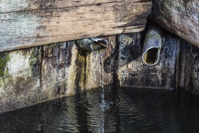 Natural Water Source in the Mountains. the is Falling from a Tree Bark ...