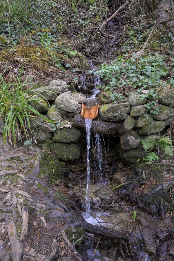 Stream and Stones. Forest River Stock Photo - Image of forest ...