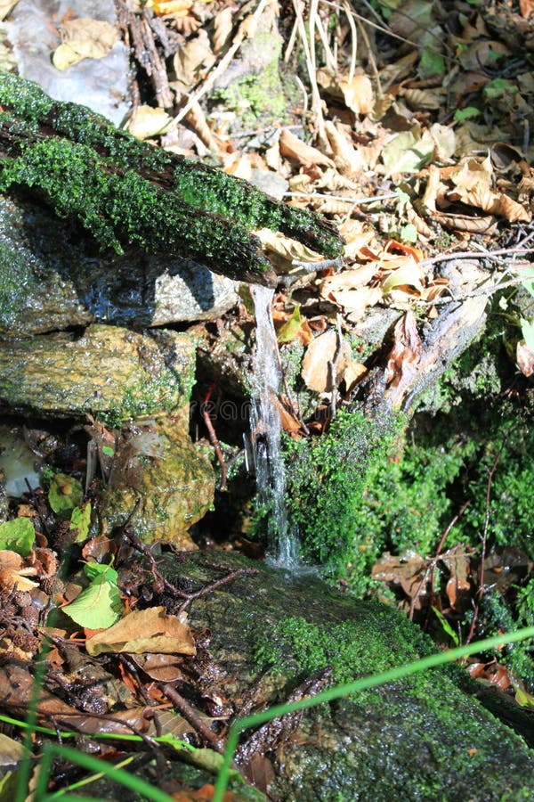 Natural Water Spring stock image. Image of fountain, flow - 26894361