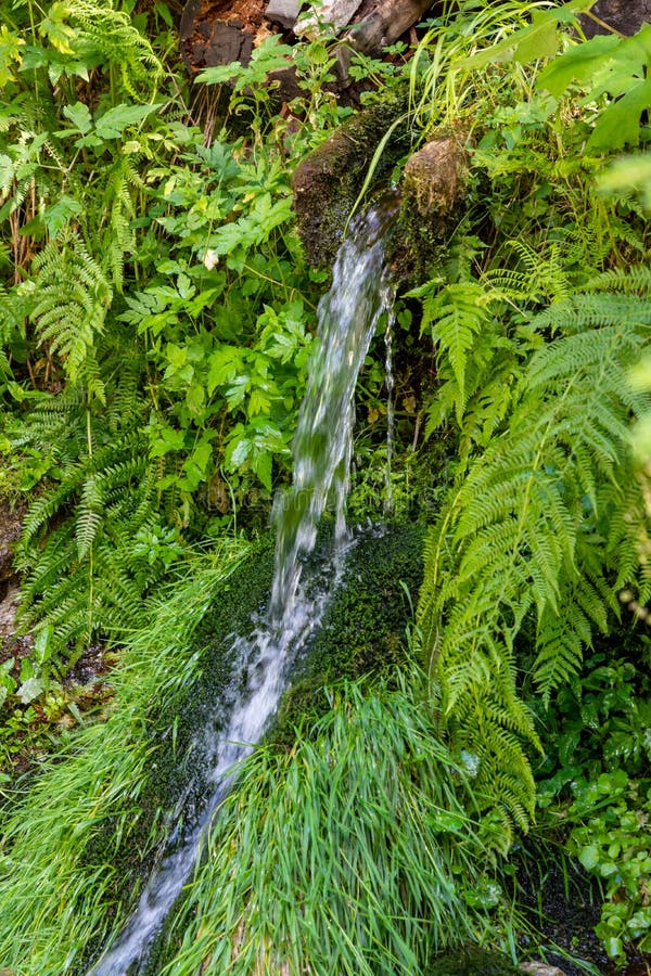 Natural water spring stock image. Image of clean, flow - 207124795