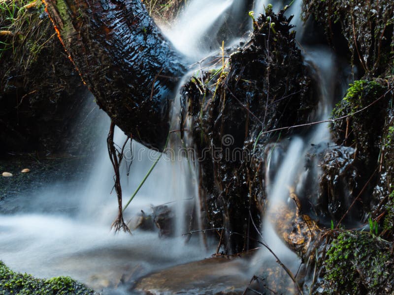 Natural Water Stream Cascades Over Tree Trunk Stock Photos - Free ...