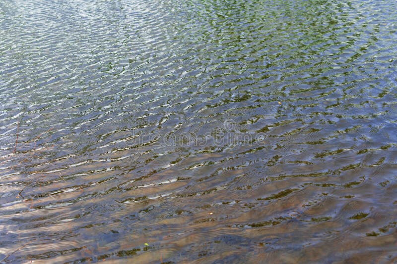 Natural Ripples on the Surface of the Lake Stock Image - Image of clear ...