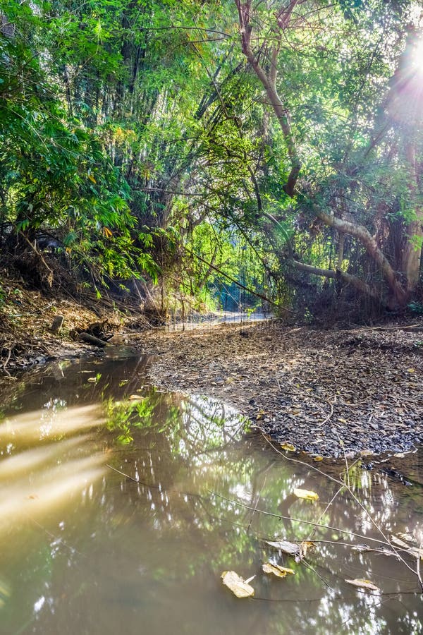 Natural Watercourse in Hot Summer Stock Image - Image of sunshine ...