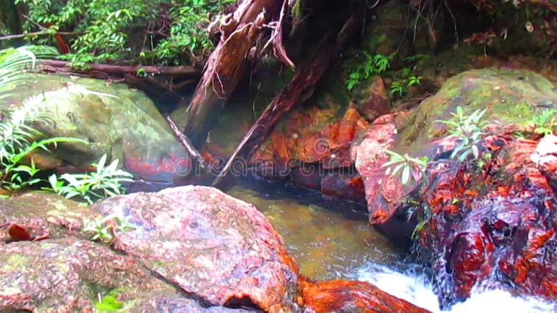 Natural Waterfall that Flows in Kendawangan West Kalimantan Indonesia ...