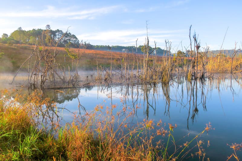 The Natural of Canal Reflected in the Water Stock Photo - Image of asia ...